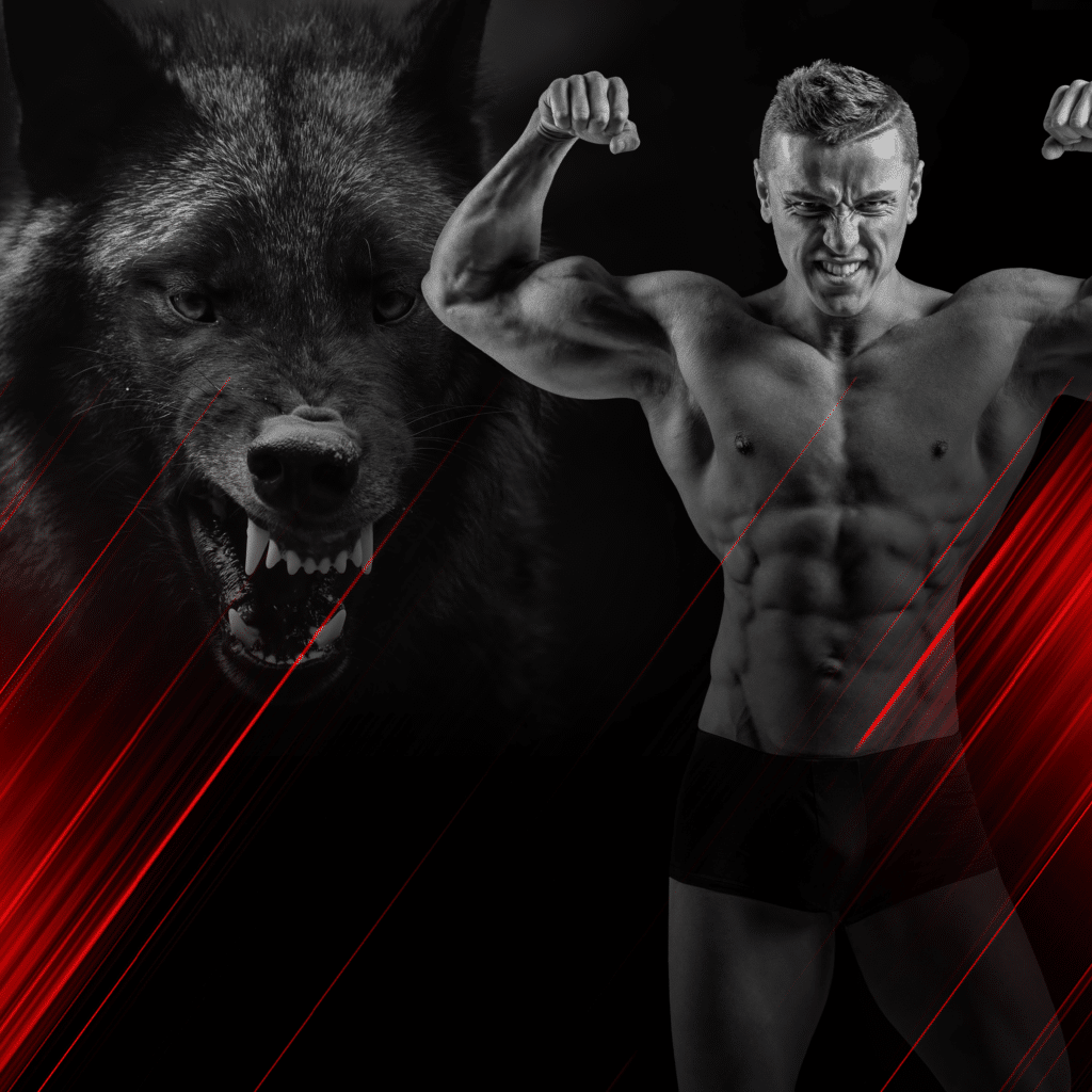 Inicio: Optimización Muscular Efectiva | Veteriix Pharma